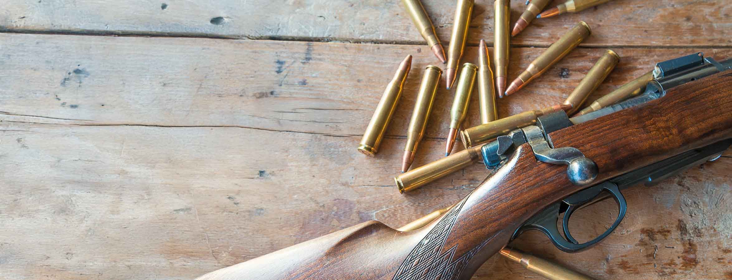How to Choose the Right Hunting Ammo | Blog | KYGUNCO