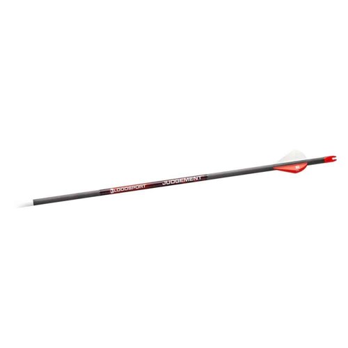 BLOODSPORT Judgement Arrow 350 Spine (6 Pack) | KYGUNCO