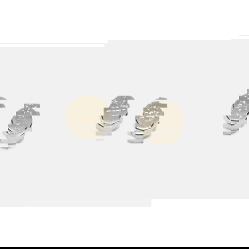 LASERMAX 357 Battery (2 pack) Silver Oxide Battery | KYGUNCO