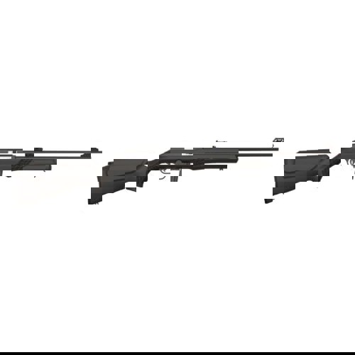 ROSSI R22 22LR 23ʺ SS | KYGUNCO